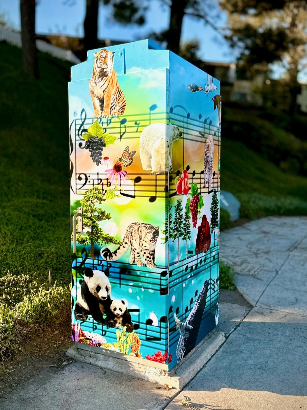 Utility Box Wrap Program | Solana Beach